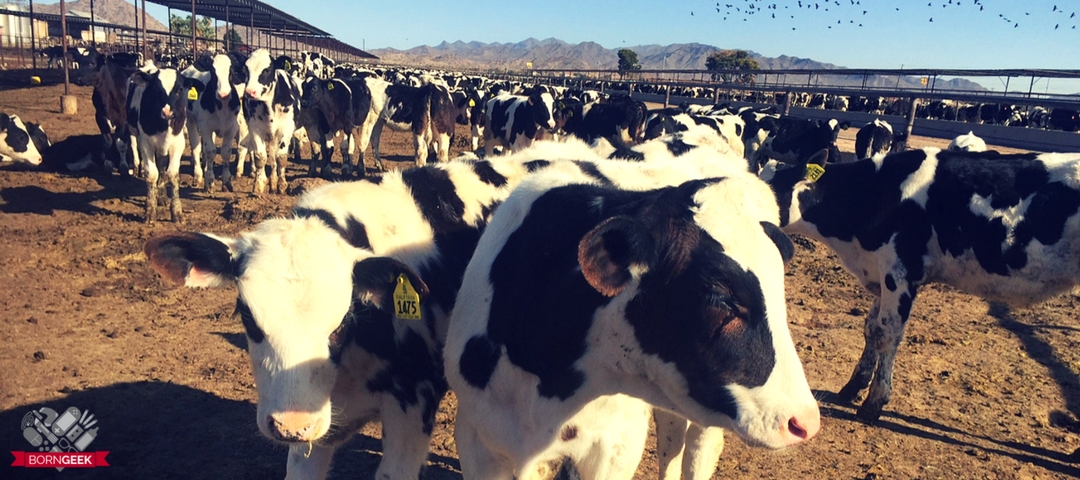 4 Things I learned on the Arizona Farm Tour 2018 - Born Geek
